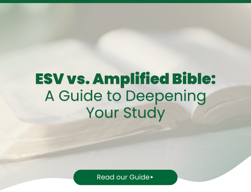 ESV vs. Amplified Bible: A Guide for Deep Study (2026) | Eden Blog
