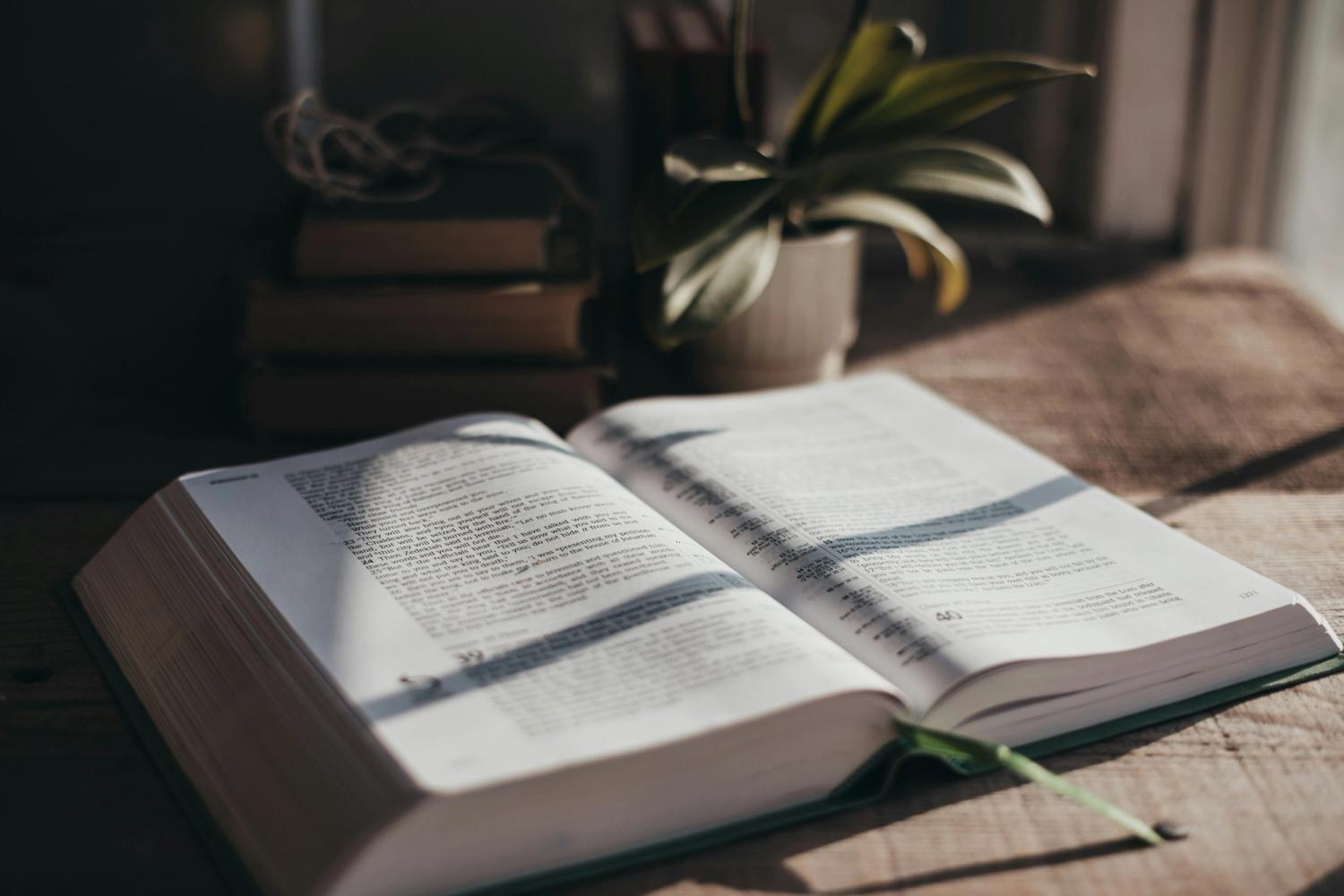 NIV vs. ESV: Readability vs. Accuracy (A Simple 2026 Guide) | Eden Blog