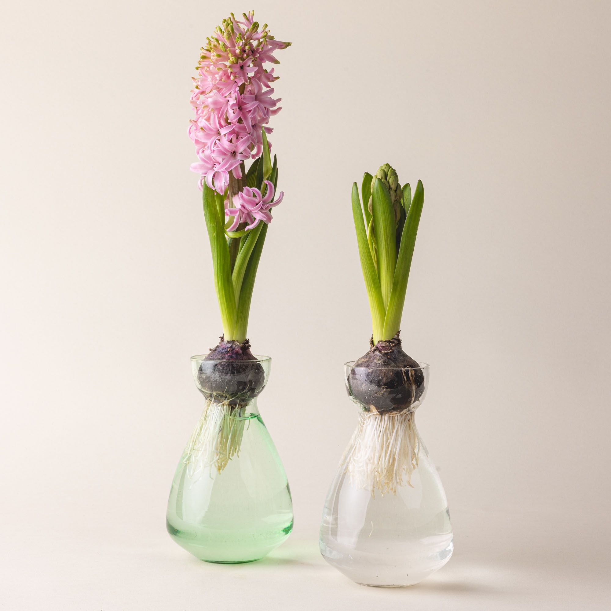 Mouth Blown Bulb Vase