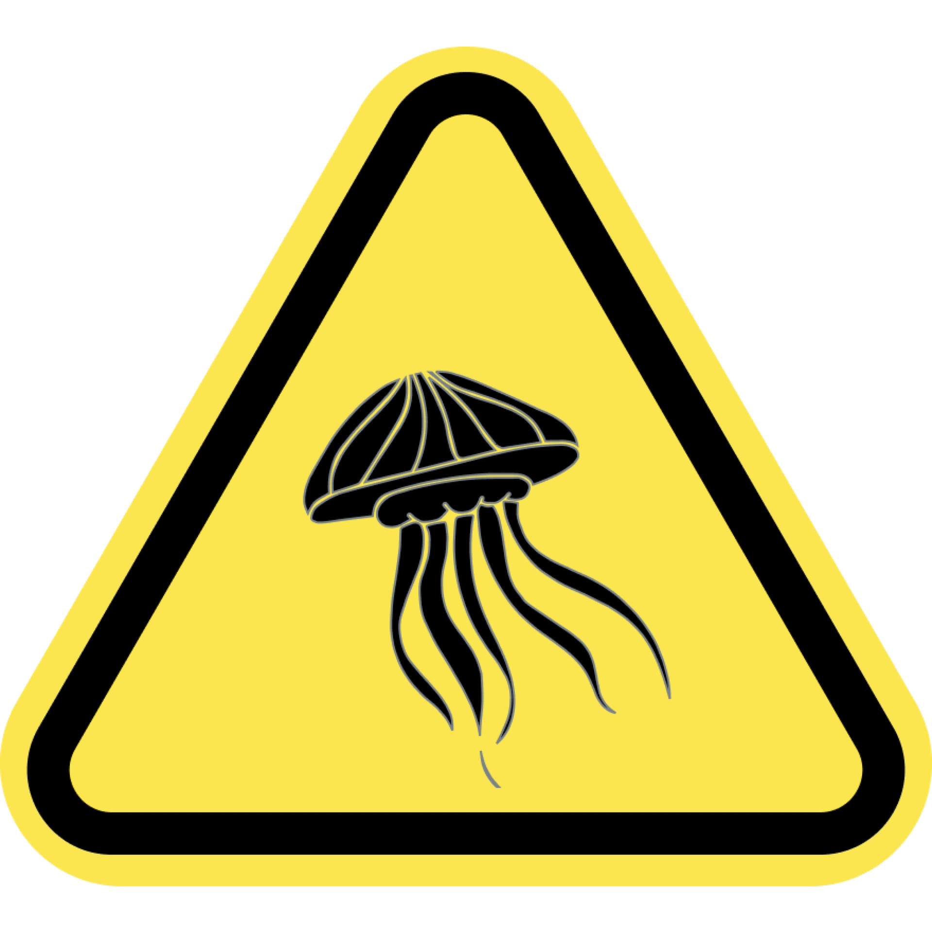 Sea Bright | Safe Beach Day | Safe Beach Day