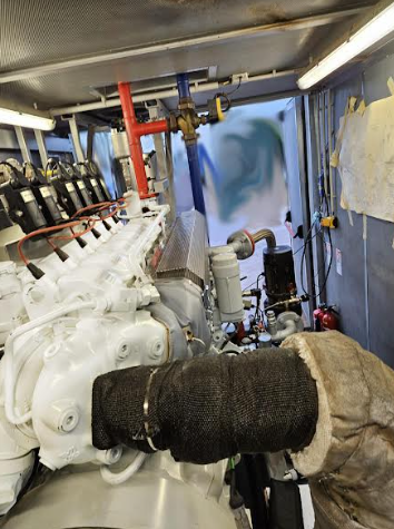 Zero Hours MAN 2876 LE302 Biogas Generator - Gas Engine Exchange