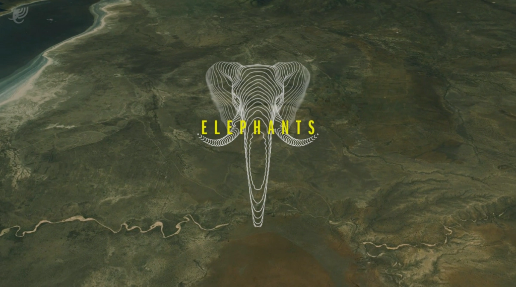 Internet of Elephants | CLEVERºFRANKE