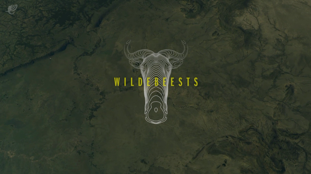 Internet of Elephants | CLEVERºFRANKE