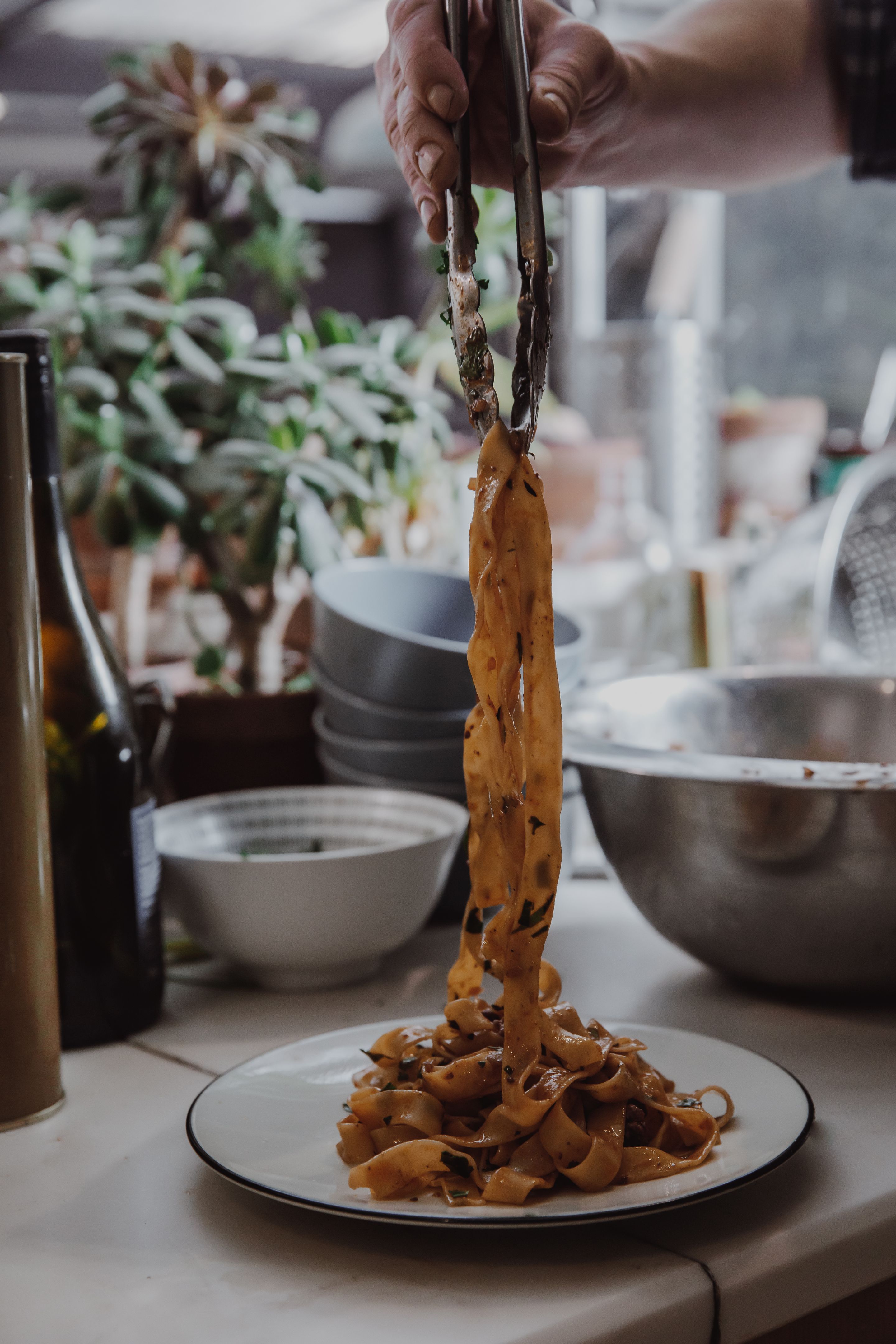 Discovered Wildfoods – Discovered Foods