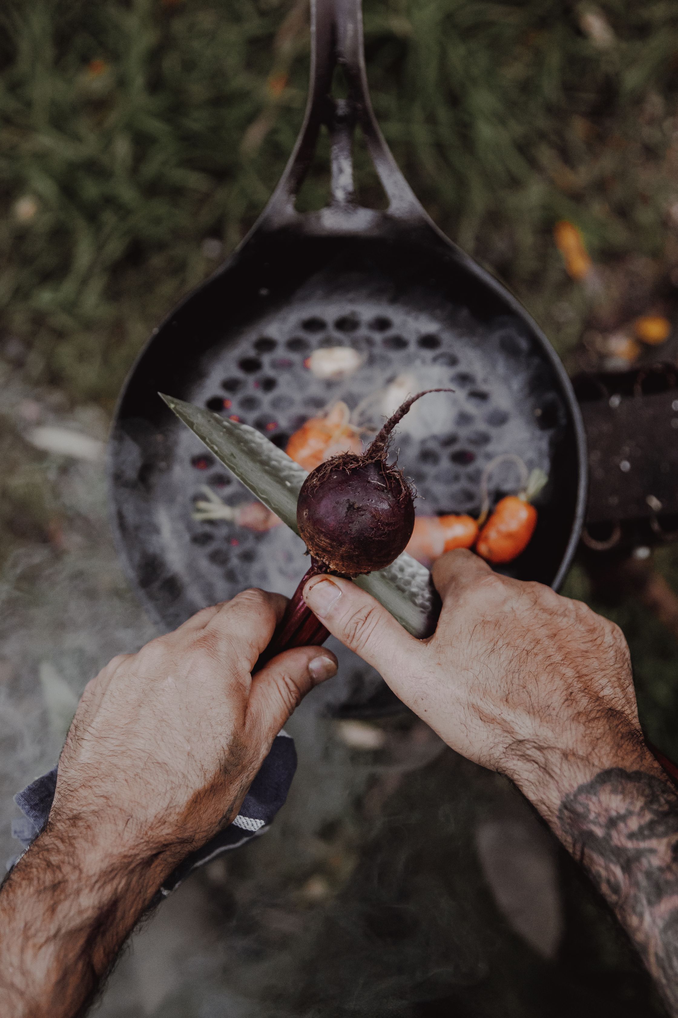 Wild River Cooking – Discovered Foods