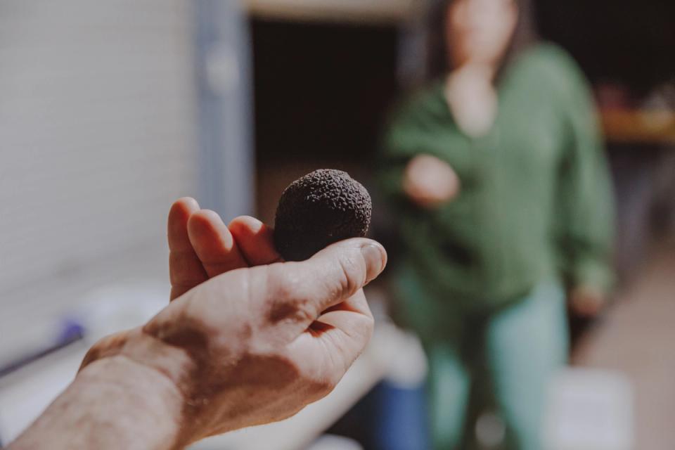 Salami Tsunami – Discovered Foods