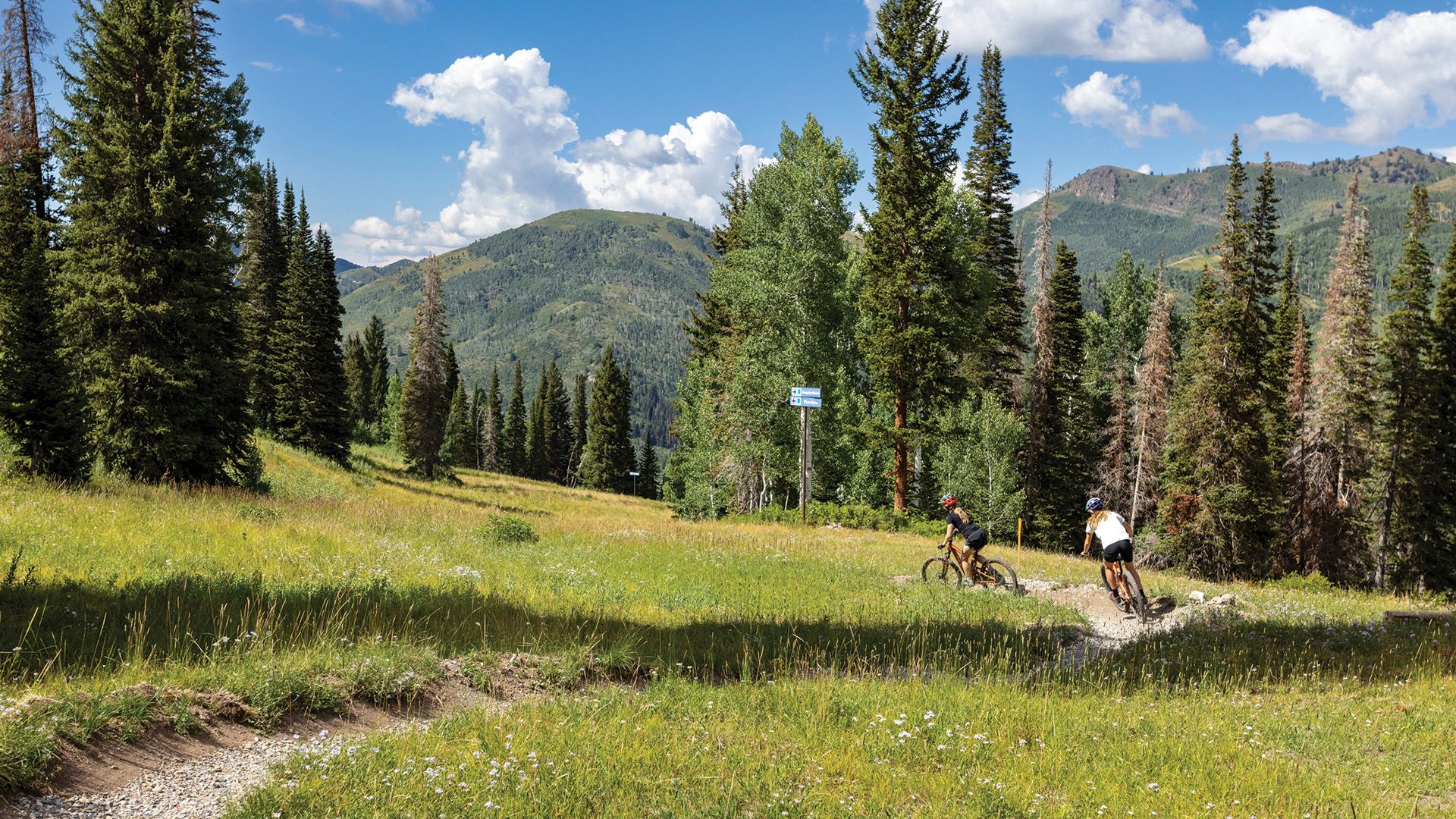 UT MTB - Summer Passes | Ikon Pass
