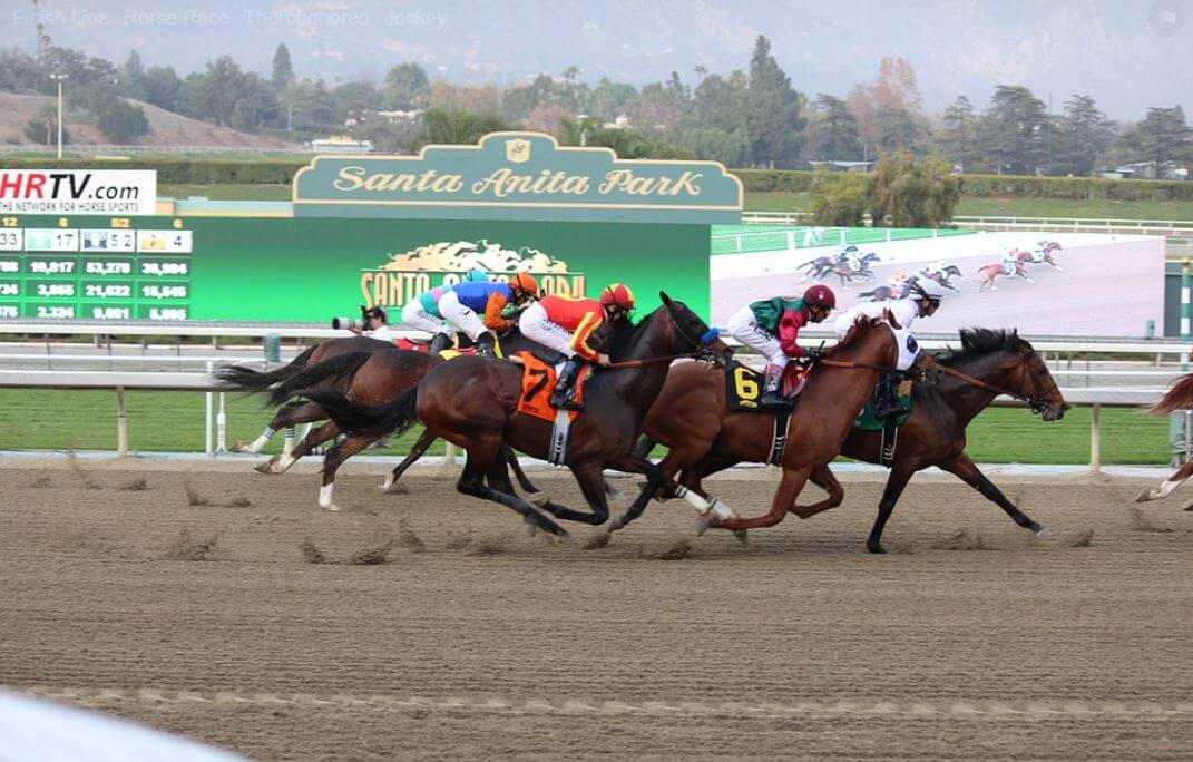 Horse Racing Reaches a Crossroads