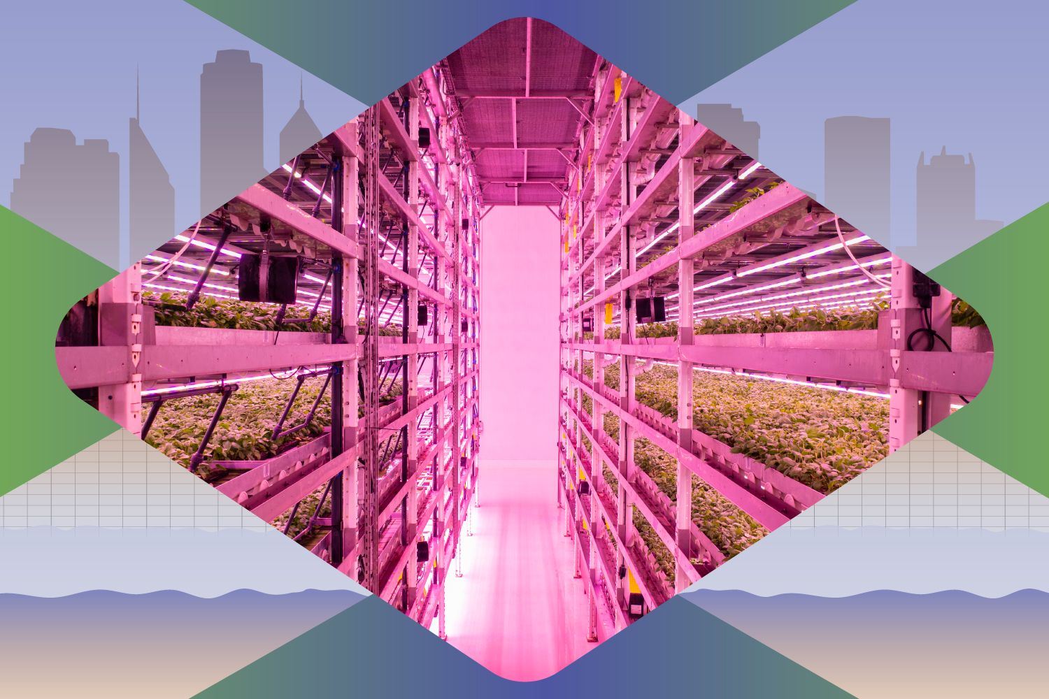 Inside Phoenix’s high-tech plan to grow its own veggies