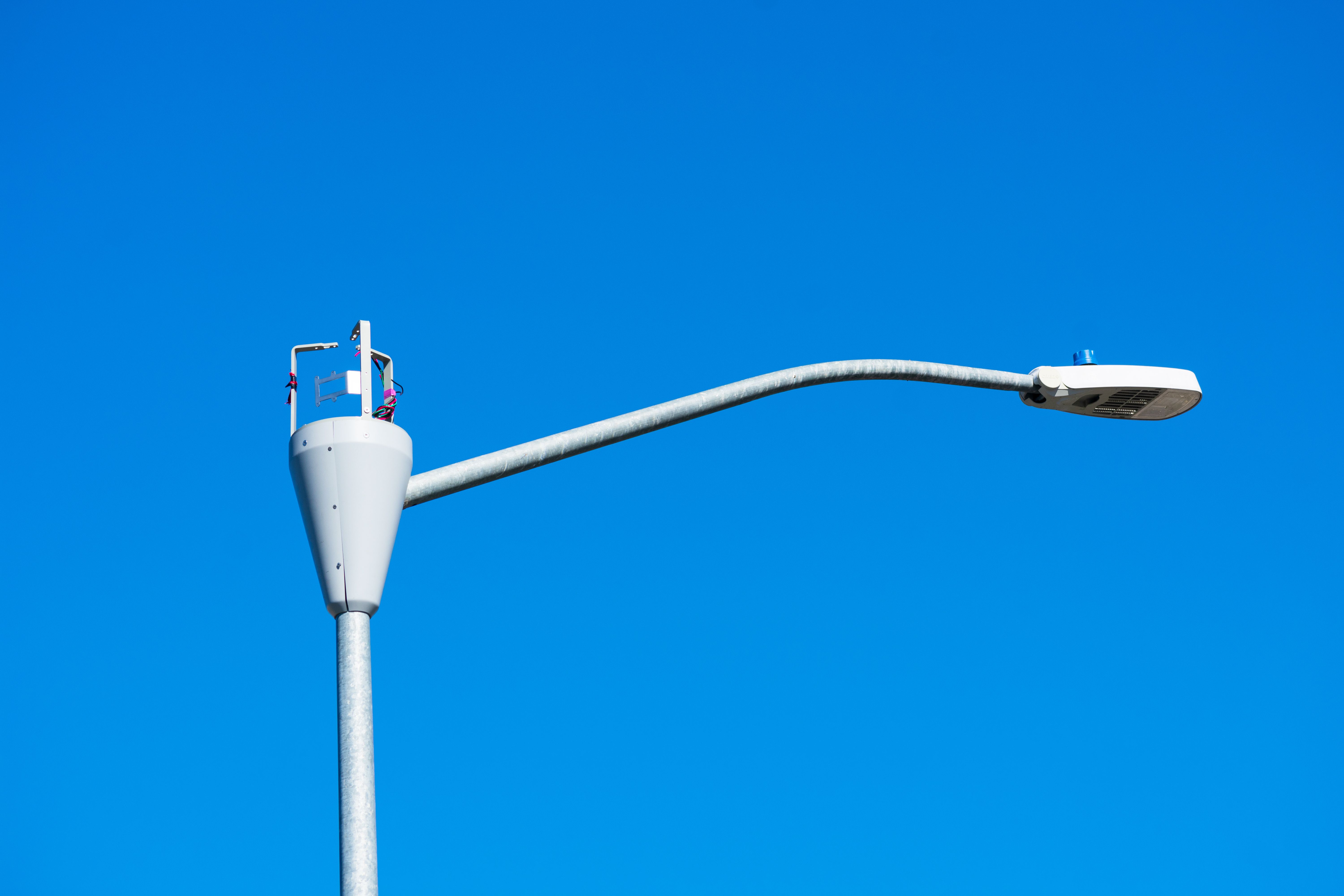 All the small cells | Tech Brew
