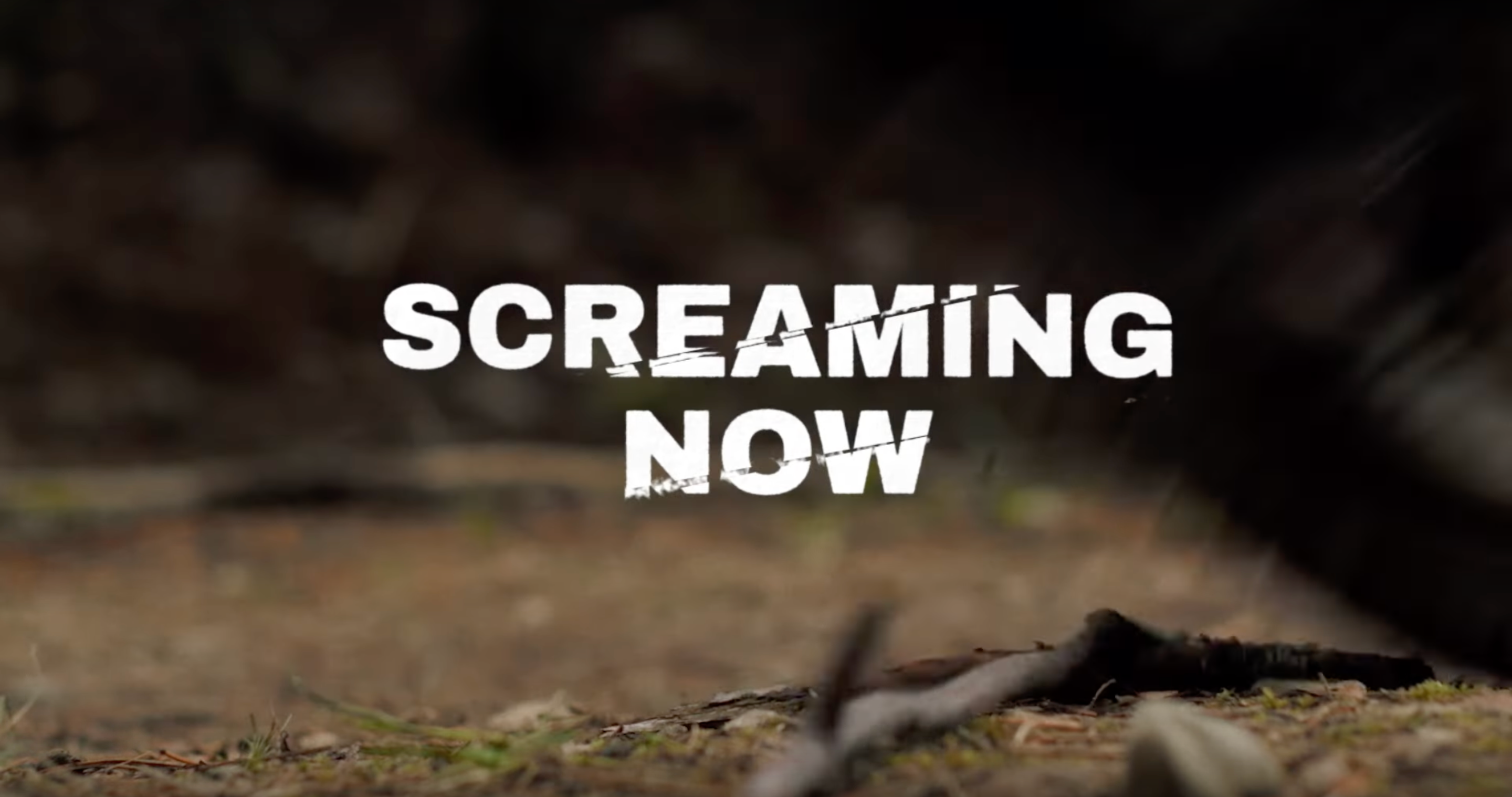 Horror streamer Shudder is looking to extend spooky season all year long