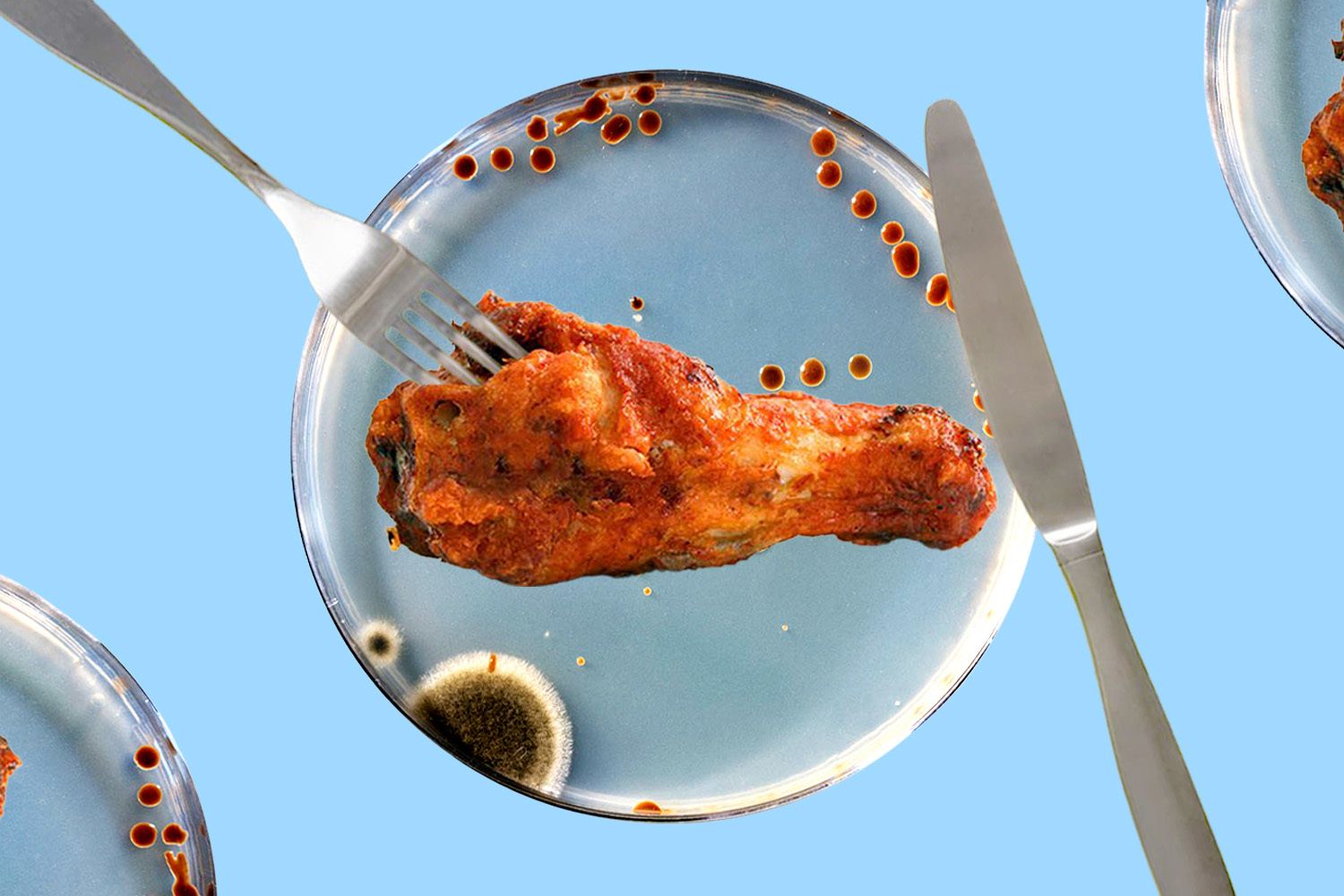 Lab-grown chicken greenlit for US consumption