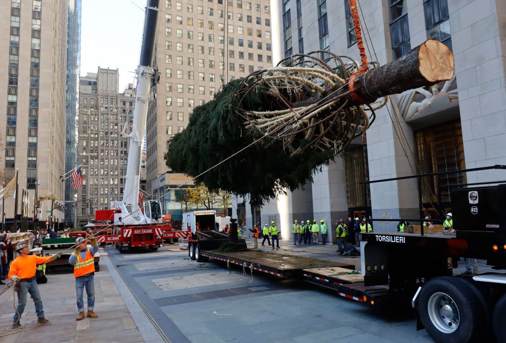 The Rockefeller Center Christmas Tree has arrived
