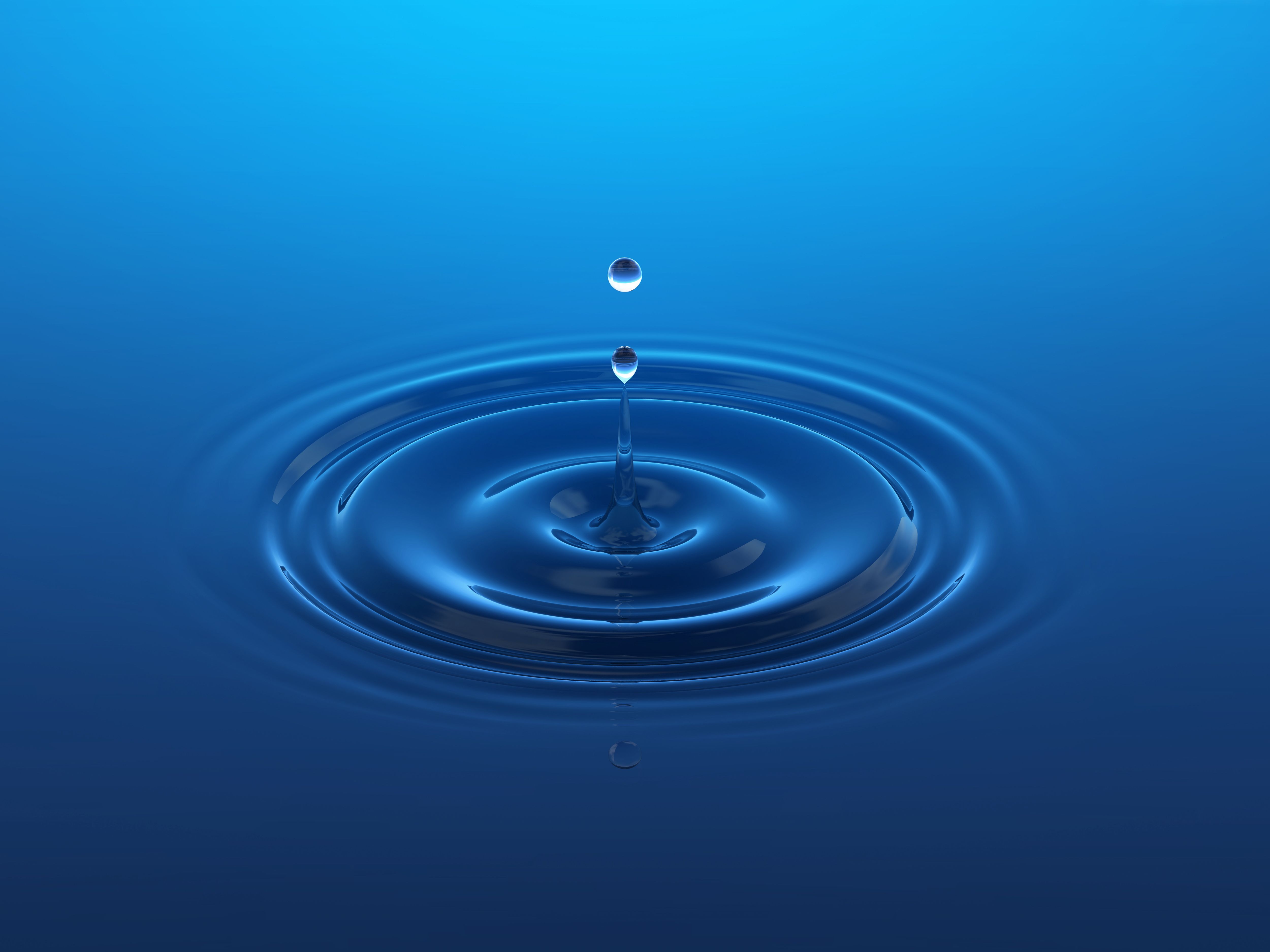 Ripple effect | CFO Brew