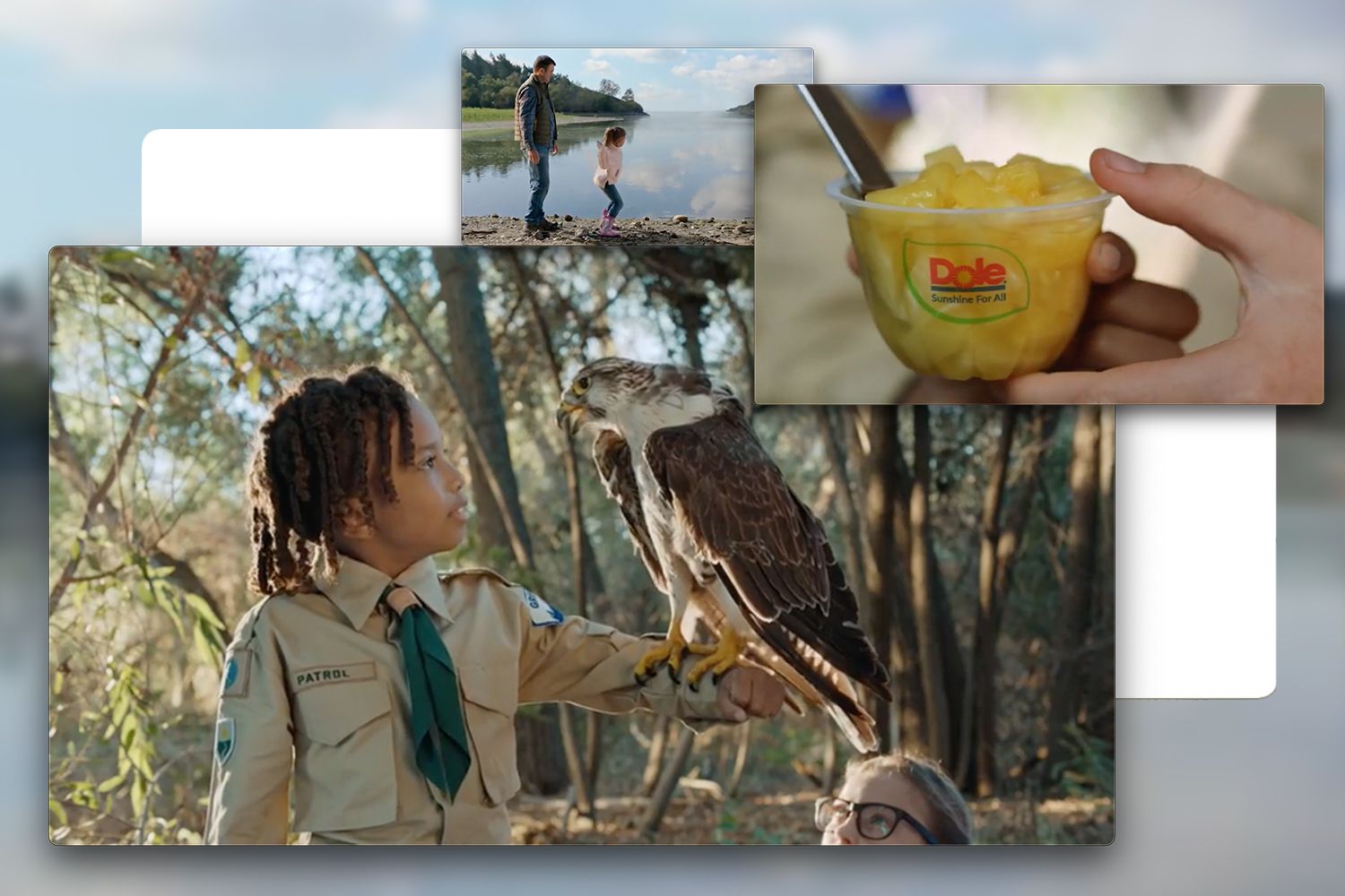 Mood Board: Why Dole is leaning on a classic meme to sell fruit cups