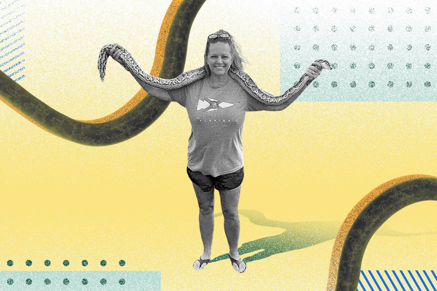 Money as a python hunter