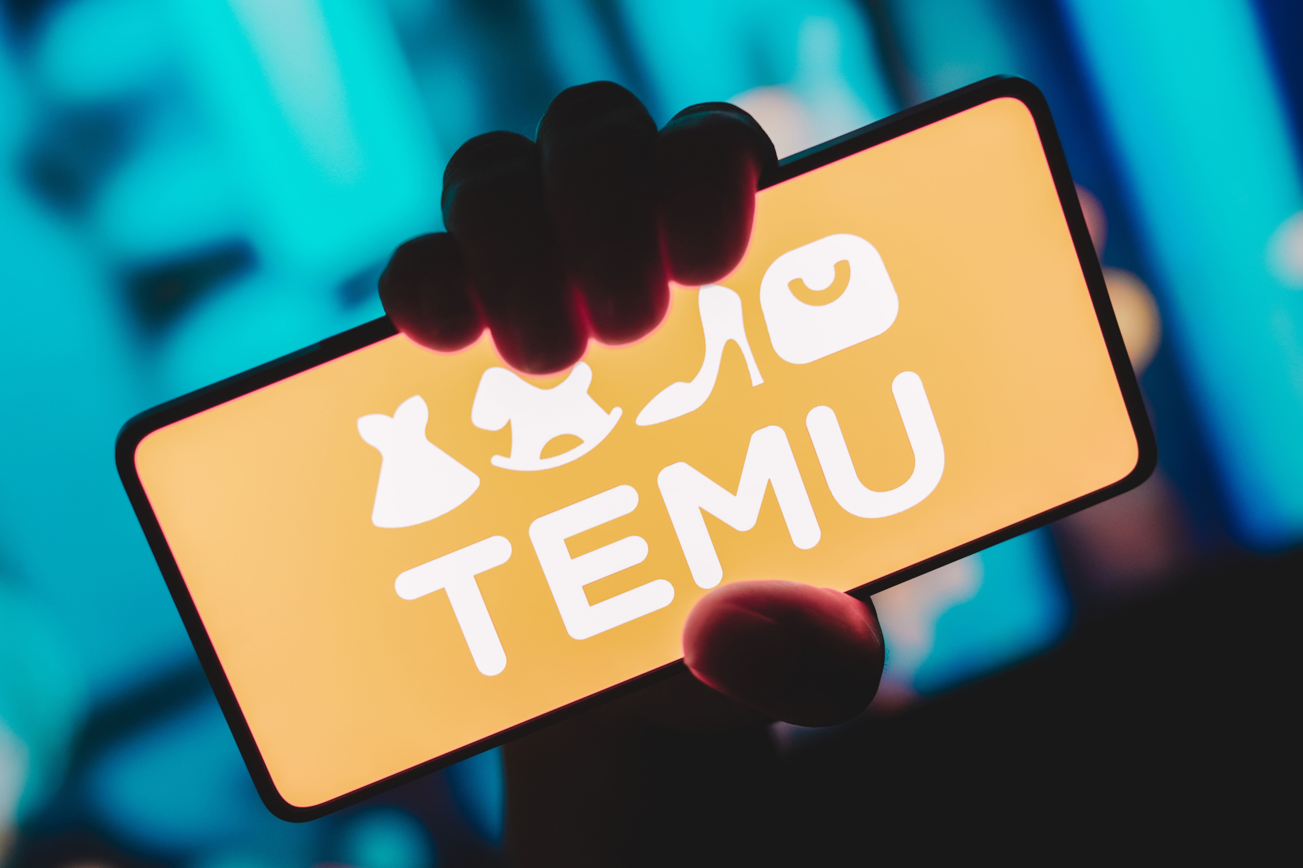 Temu taps Shopify sellers for future growth
