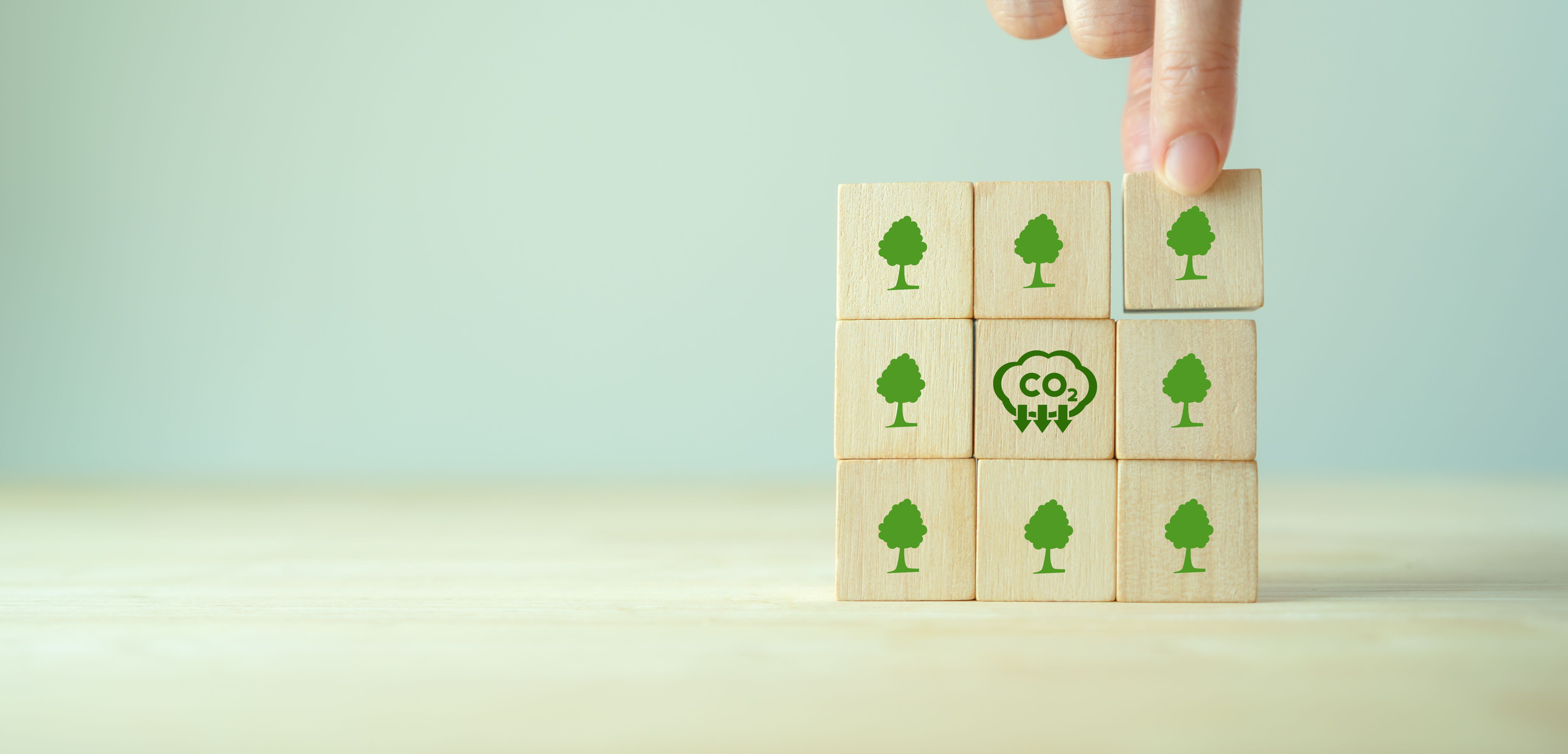 Crafting Scope 3 | CFO Brew