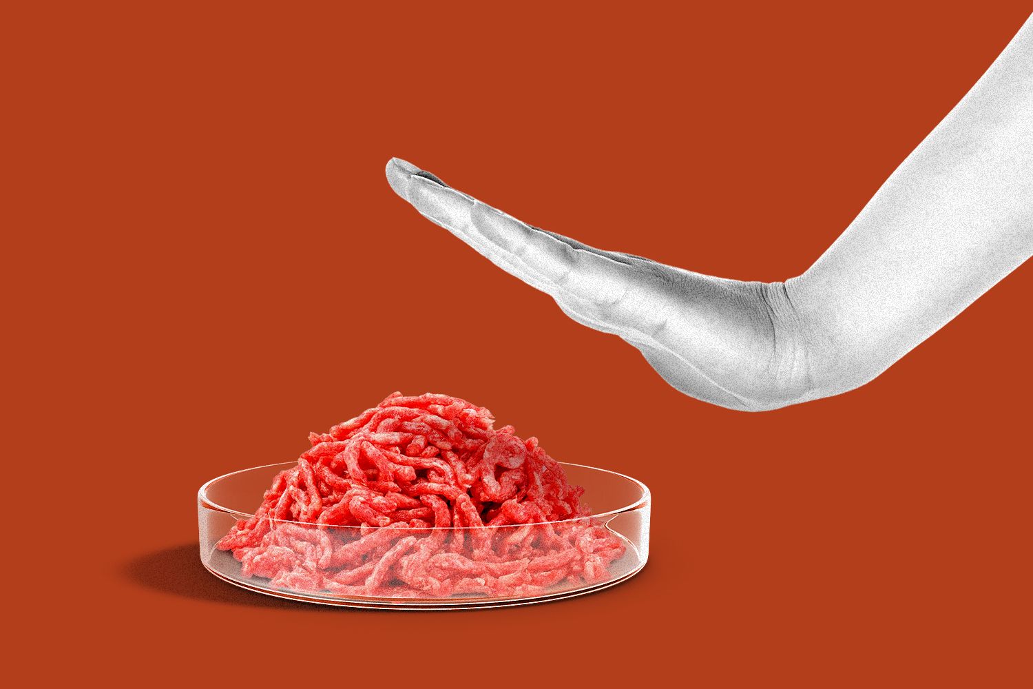 Florida becomes 1st state to ban lab-grown meat