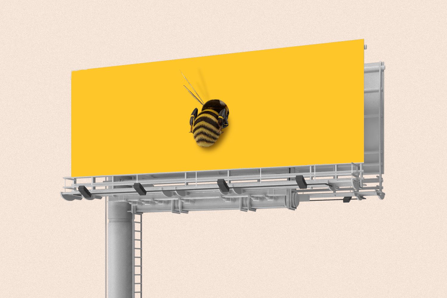 Everything that went wrong with Bumble’s rebrand