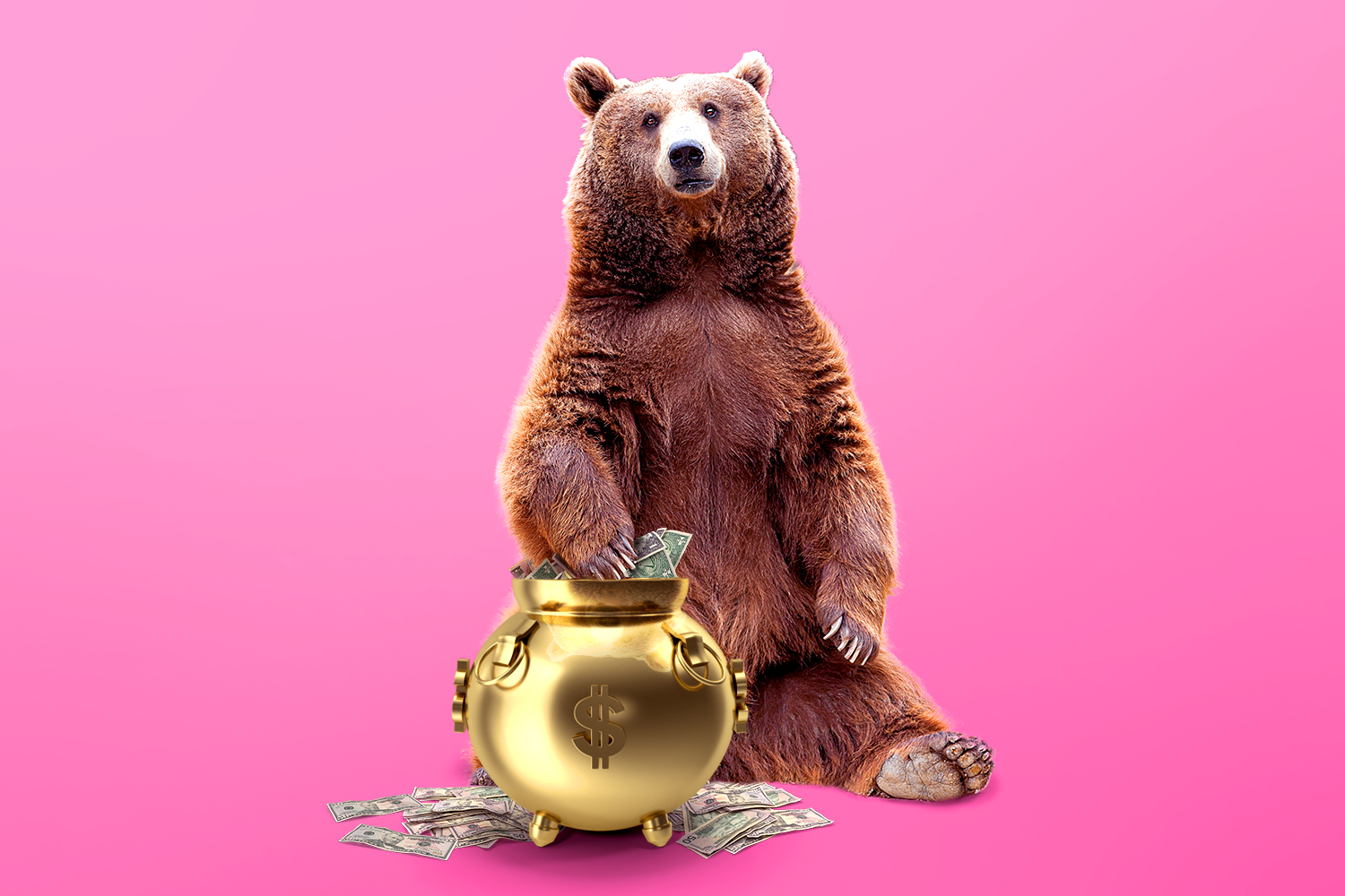 What you need to know about investing in bear markets