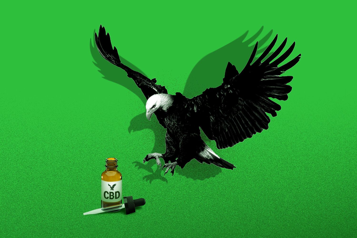 Hey There, Fellow Teens