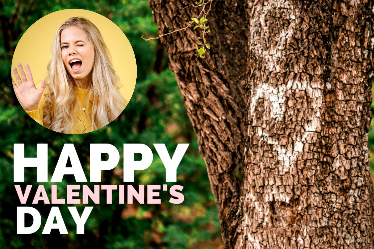 Even Tree Companies are Choosing Modern Branding over Greenwashing