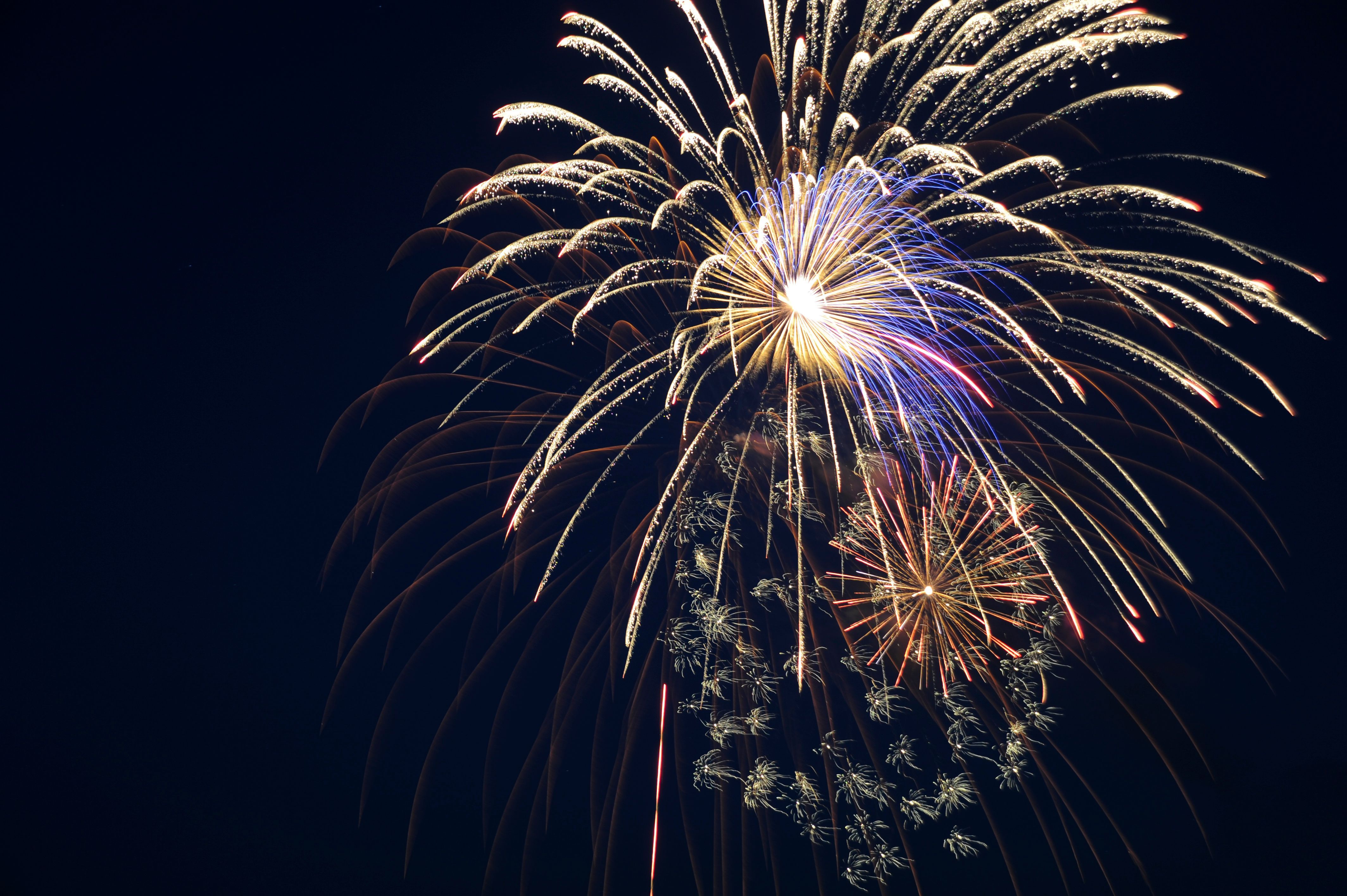 Five Fast Firework Facts for the Fourth