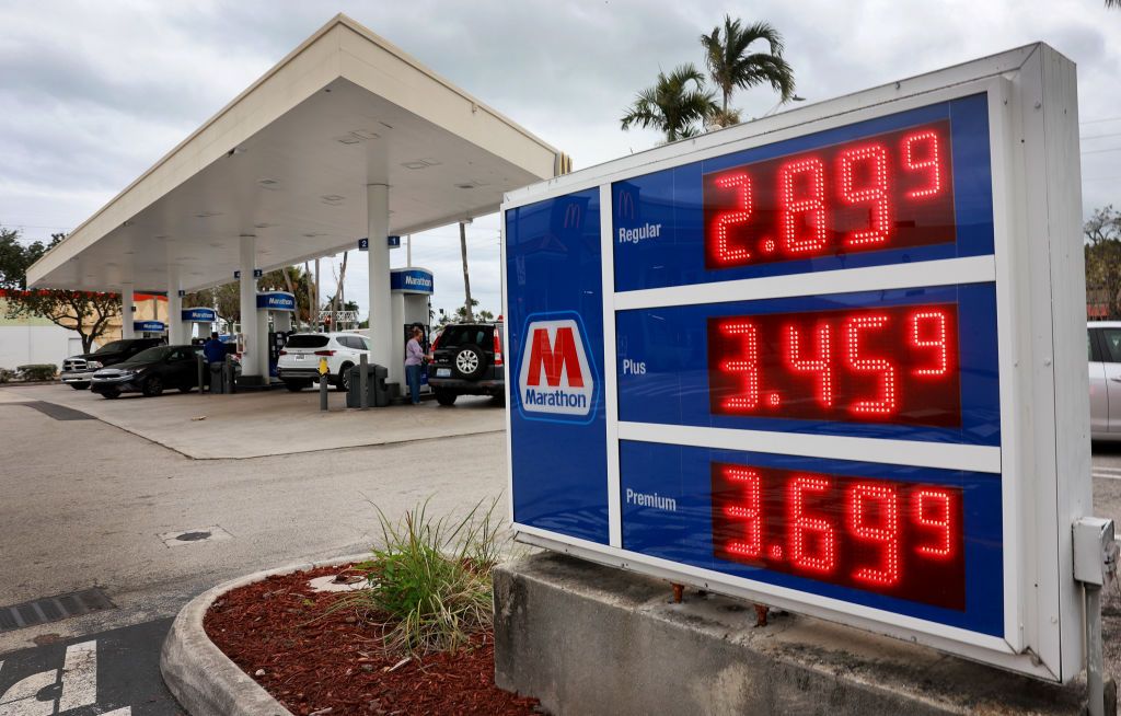 Flippers | Morning Brew