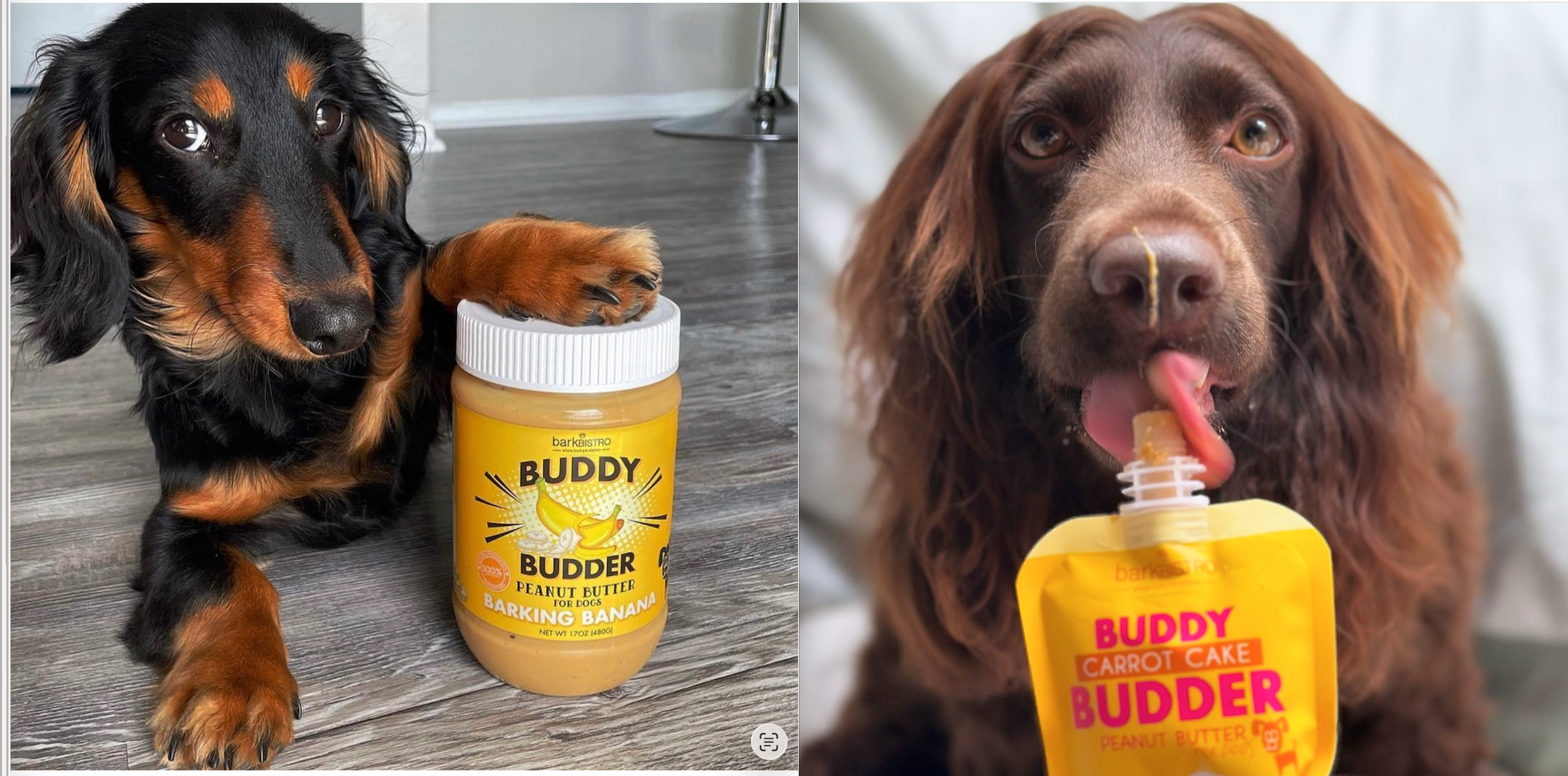 How Buddy Budder plans to ‘become the Jif’ of dog peanut butter