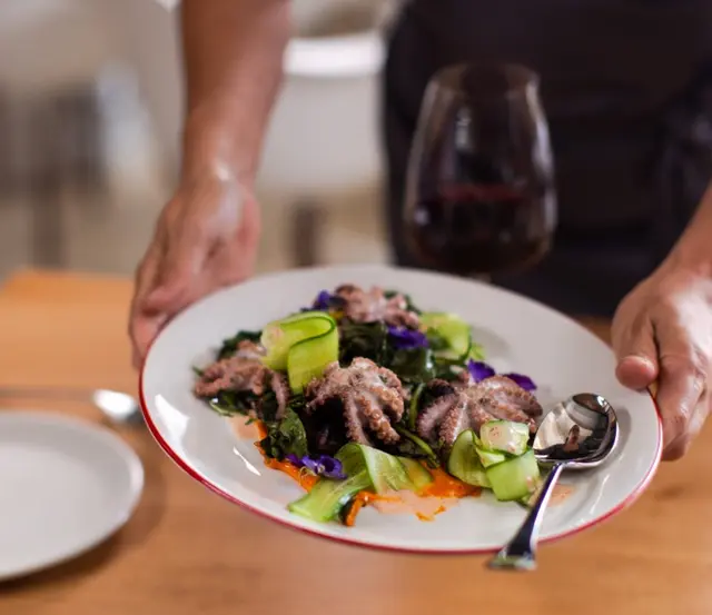 Dinner Plates & Dinner Plate Sets | Made In