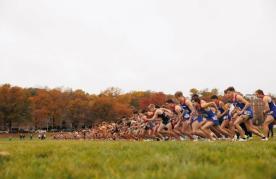 How To Watch The 2023 NCAA Cross Country Championships: Live Stream ...