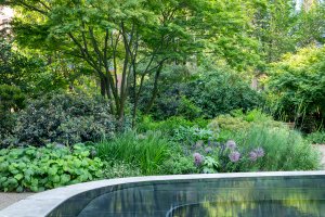 Reflection Garden | Tom Stuart-Smith Studio