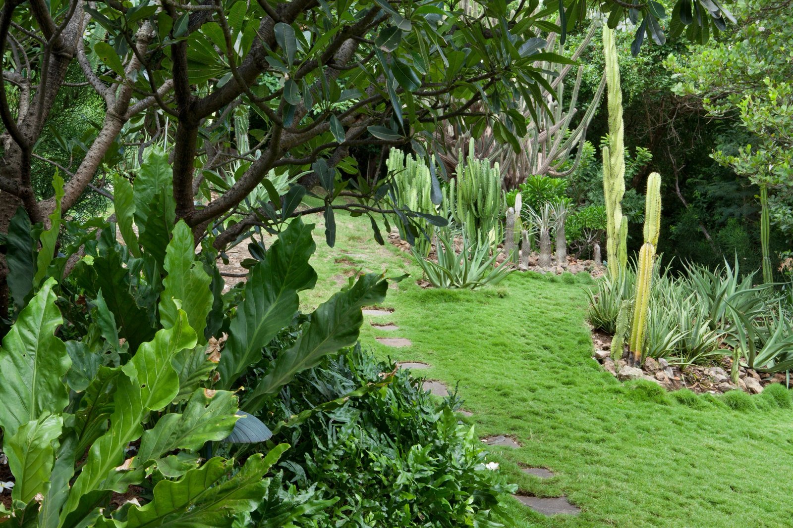 Caribbean Garden | Tom Stuart-Smith Studio