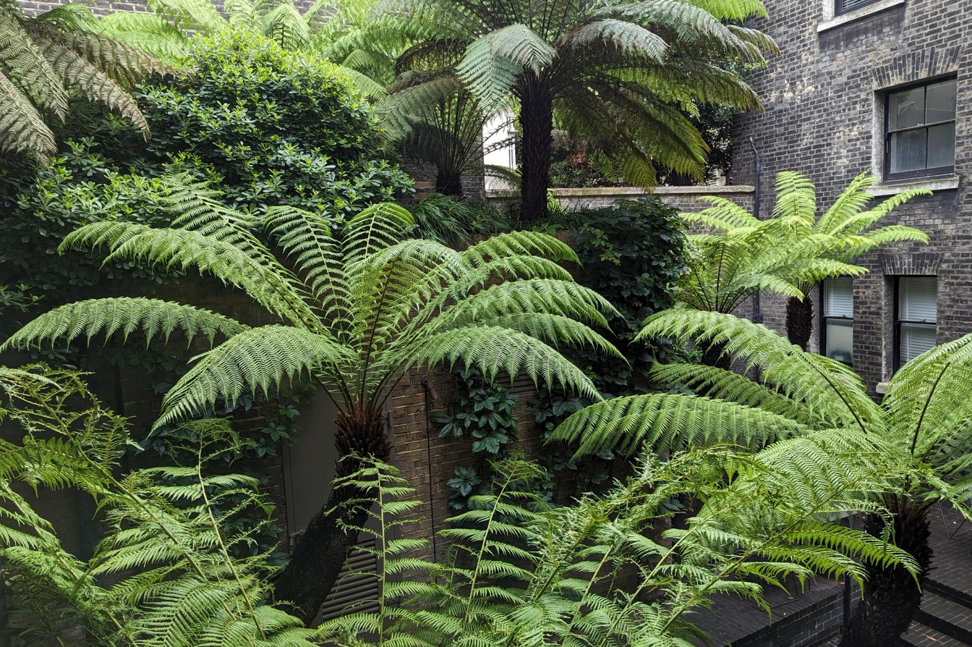 Keepers House Garden | Tom Stuart-Smith Studio