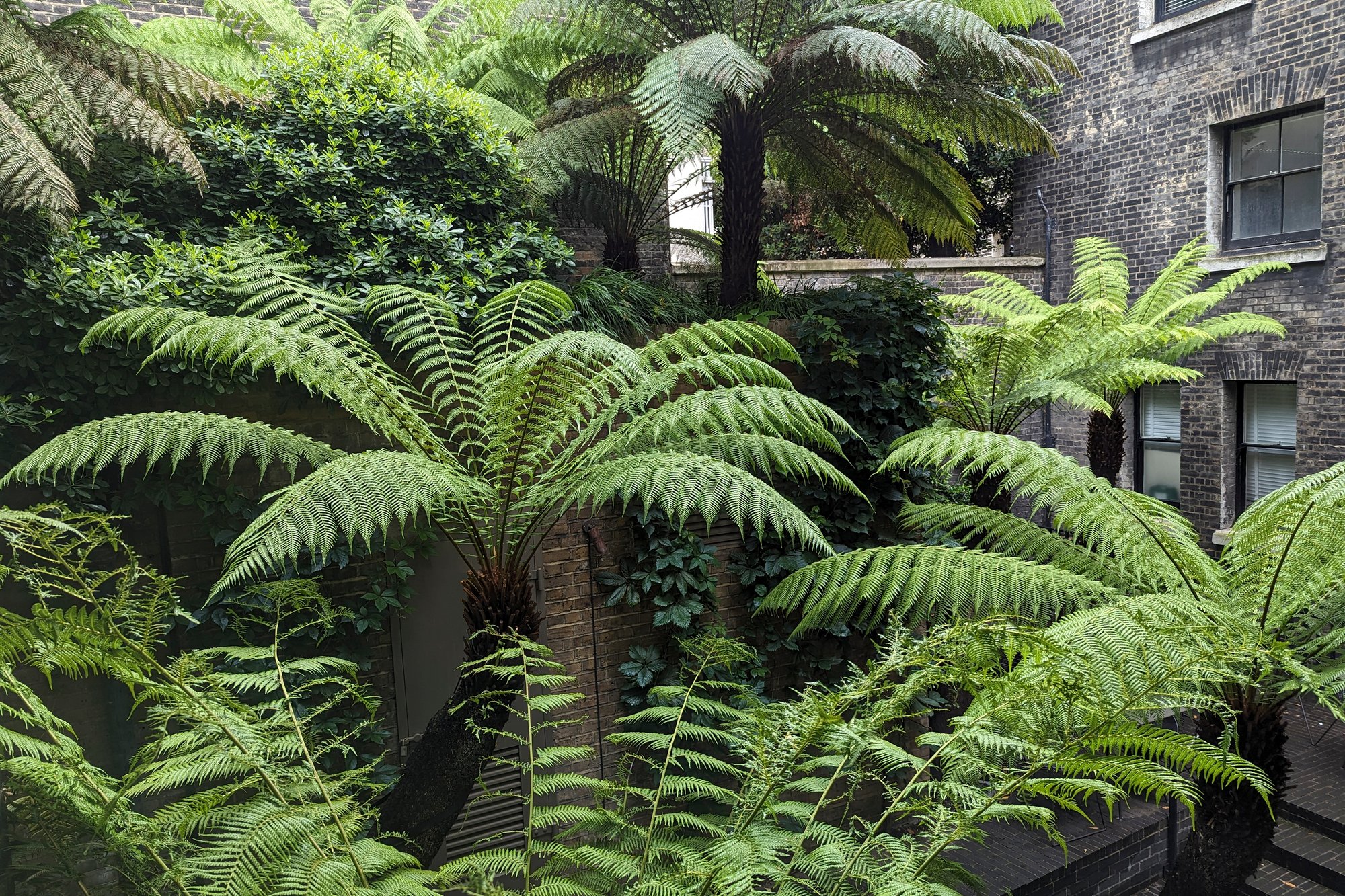 Keepers House Garden | Tom Stuart-Smith Studio
