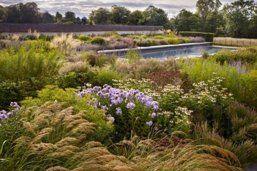 Wiltshire Garden | Tom Stuart-Smith Studio