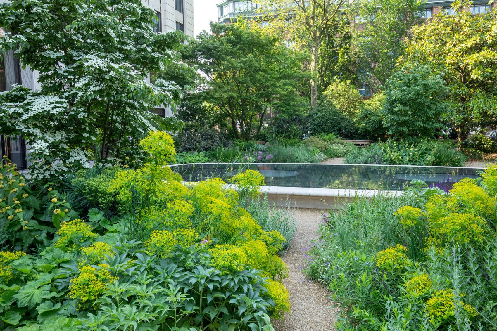 Reflection Garden | Tom Stuart-Smith Studio