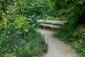 Reflection Garden | Tom Stuart-Smith Studio