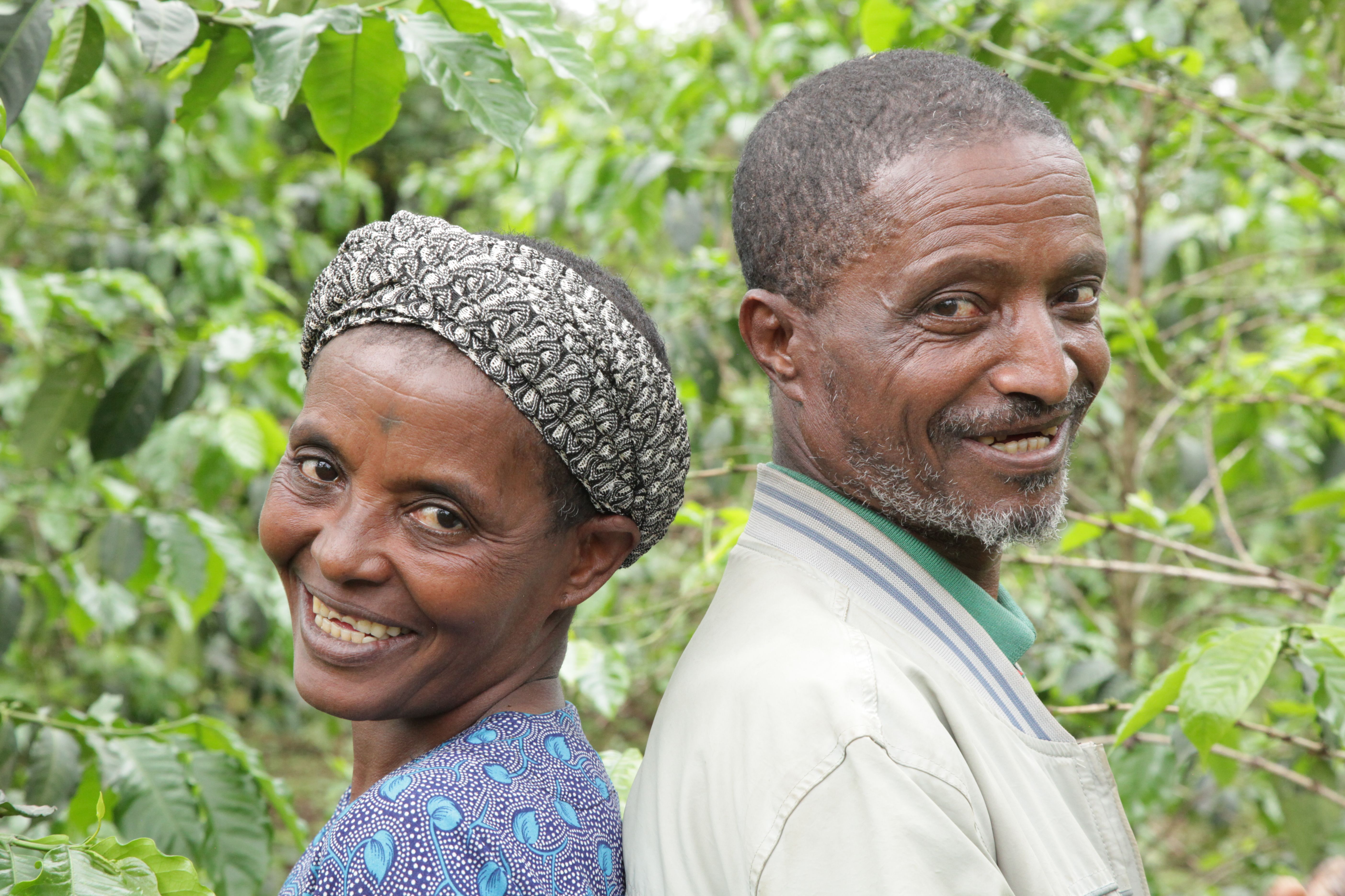 Sustainable Coffee Farming in Ethiopia's Amhara Region