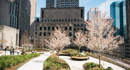 Radio Park, an Idyllic Rooftop Garden, Opens Above Radio City Music Hall
