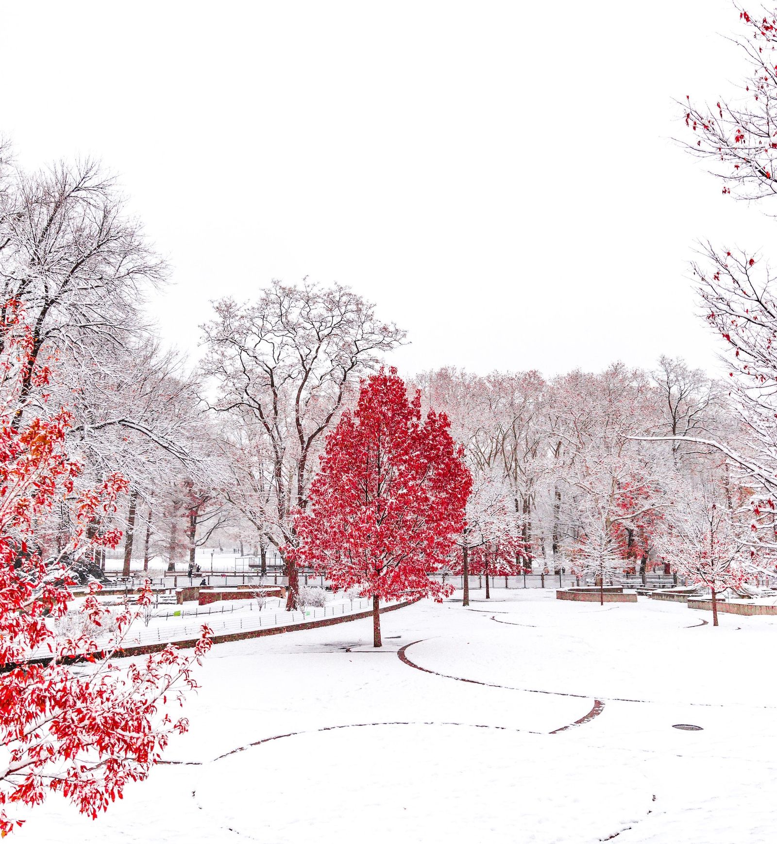Lodi’s Italian Aperitivo Culture at 1 Rockefeller Plaza