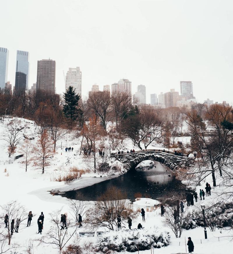 Things to Do in NYC in January | New York City Winter Events