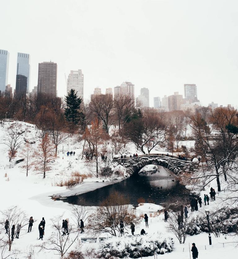 Who is Roxy the Owl at Rockefeller Center?