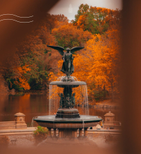 What to Do in NYC in November | Fall Events in New York City