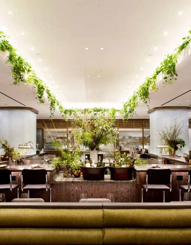 Five Acres at Rockefeller Center