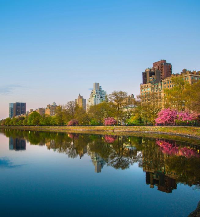 Inside BLOOM, by HERO — the Brand-New Botanical Immersive Experience at ...