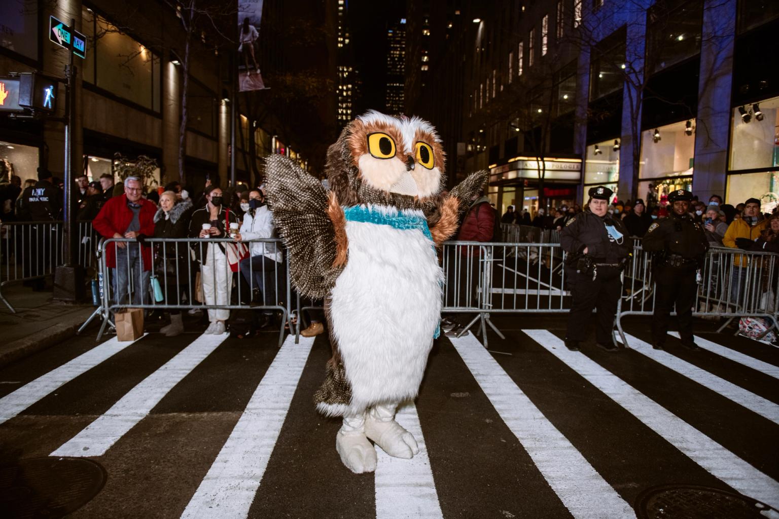 Who is Roxy the Owl at Rockefeller Center?