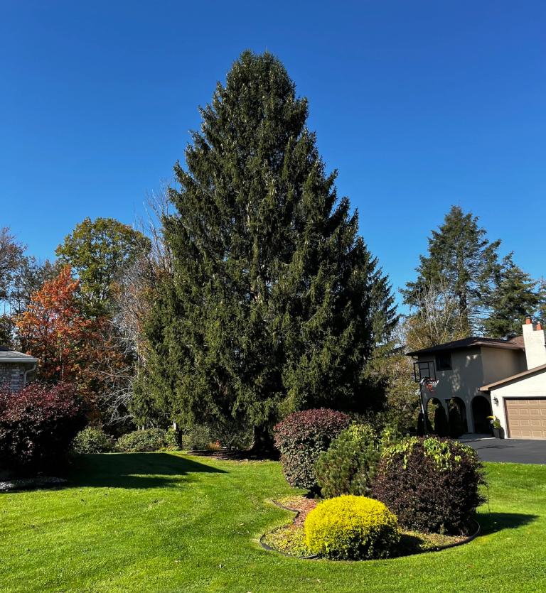 How to Spend the Perfect December Day at Rockefeller Center