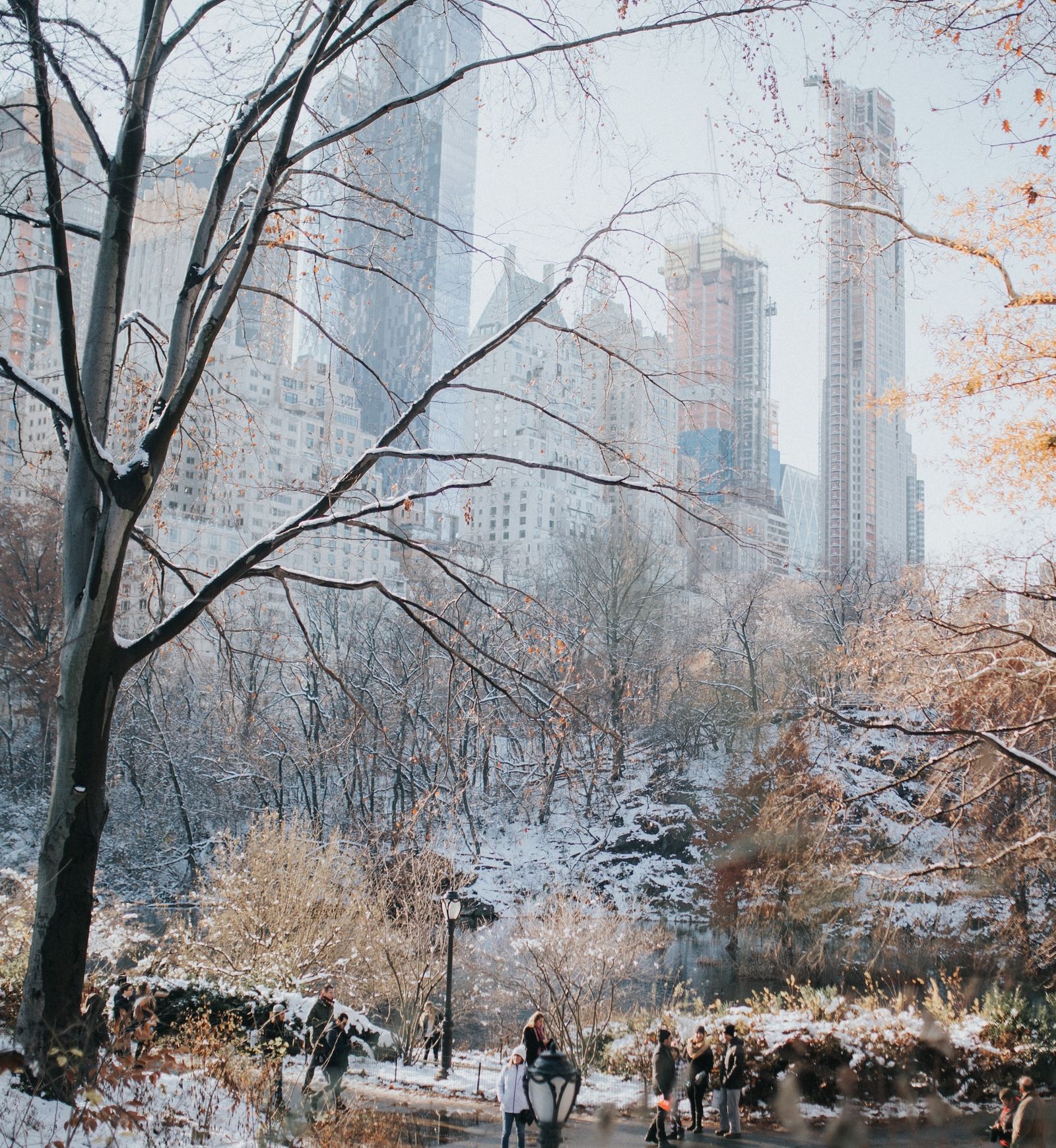 10 Best Things to Do in New York in January